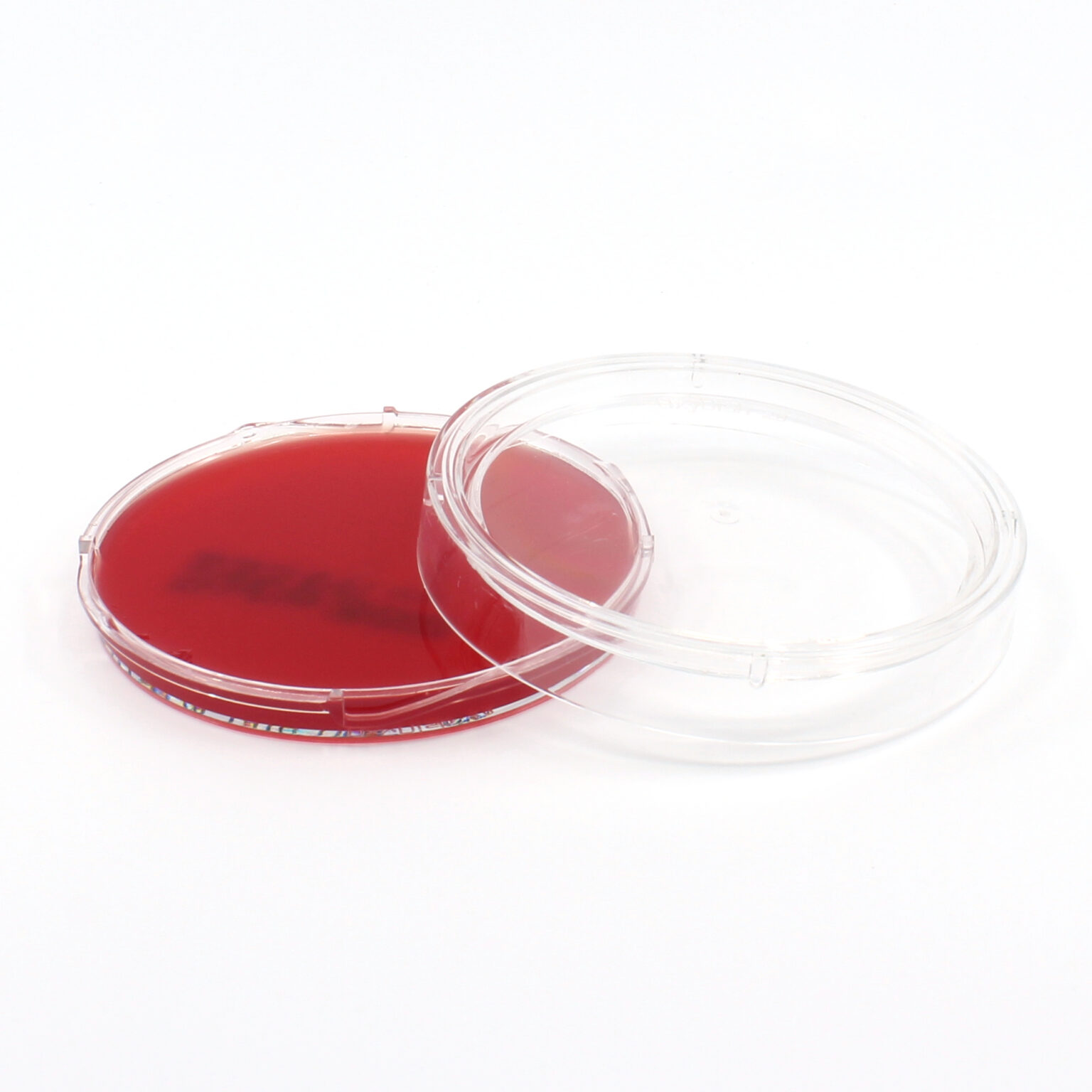 Schaedler Blood Agar OxyPlate™ - Oxyrase